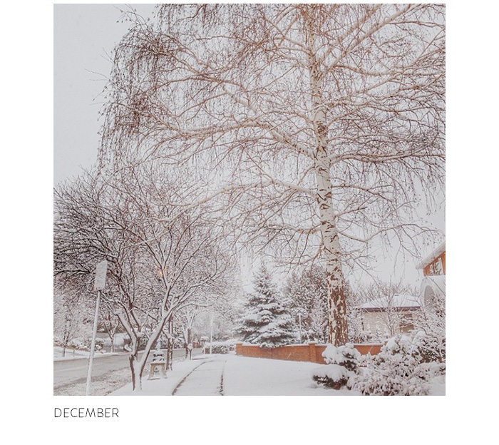 A year in landscapes | dooce®