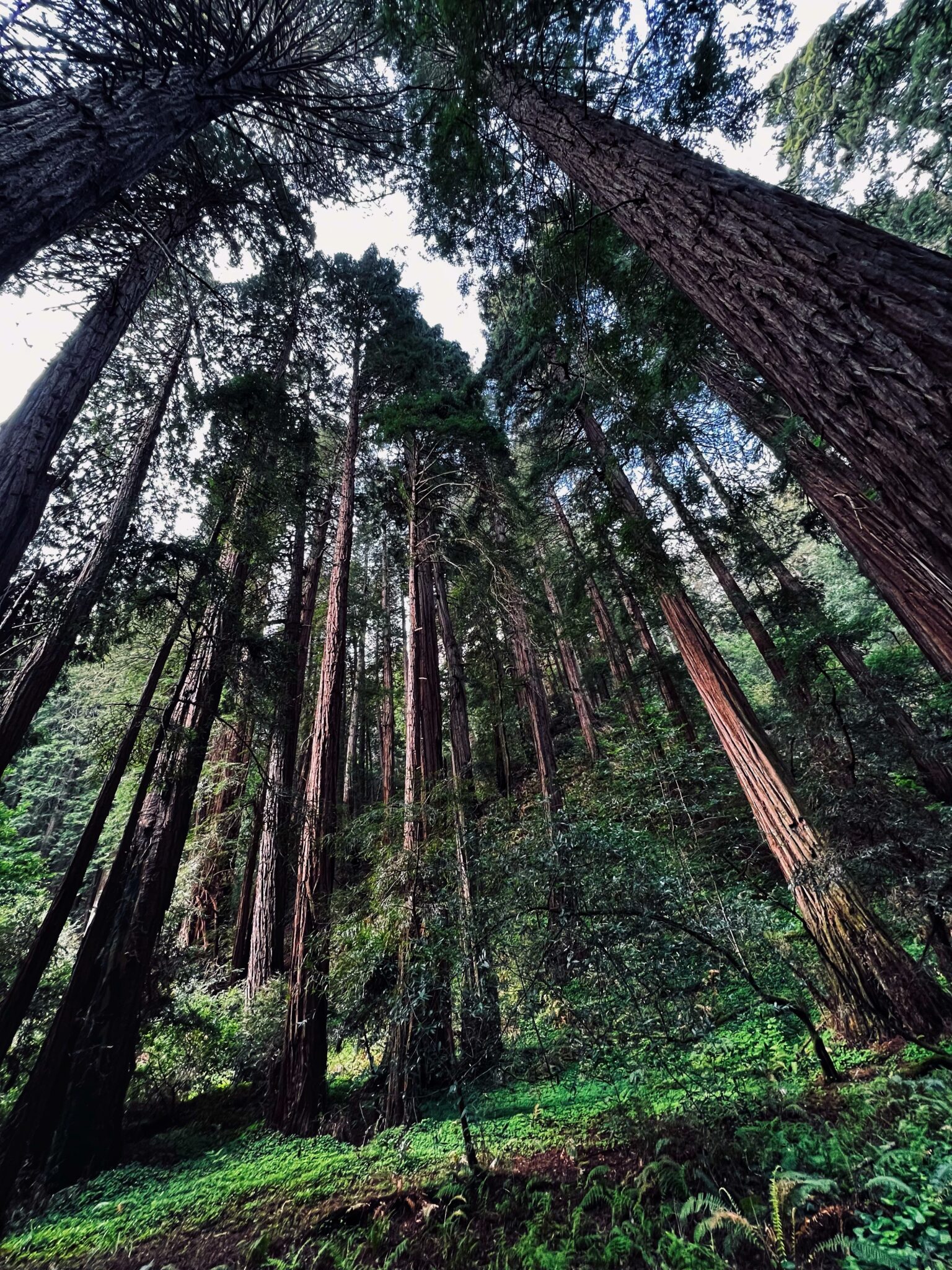 dooce® | gettin' clean's the easy part, and then comes life