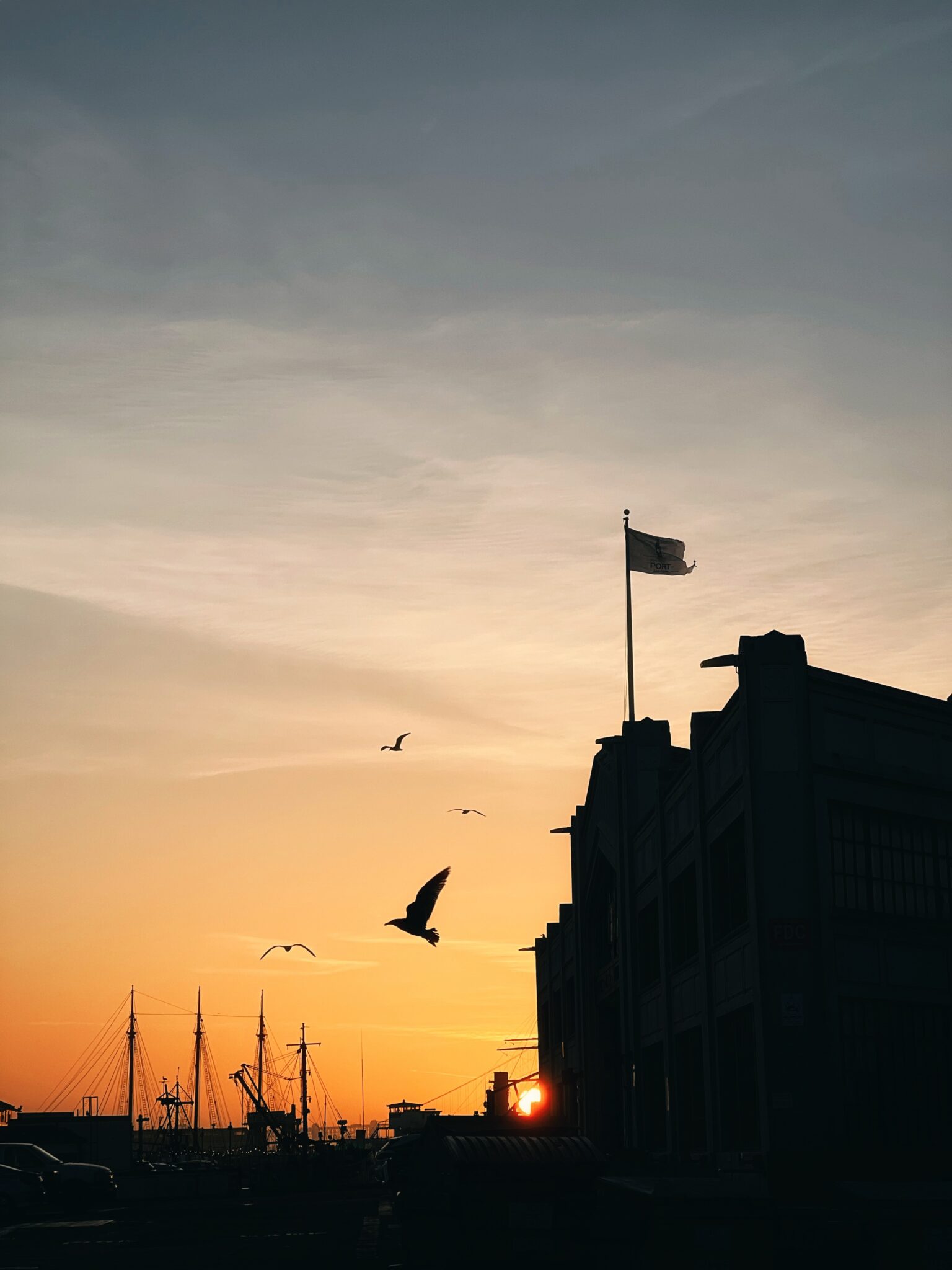 dooce® | gettin' clean's the easy part, and then comes life