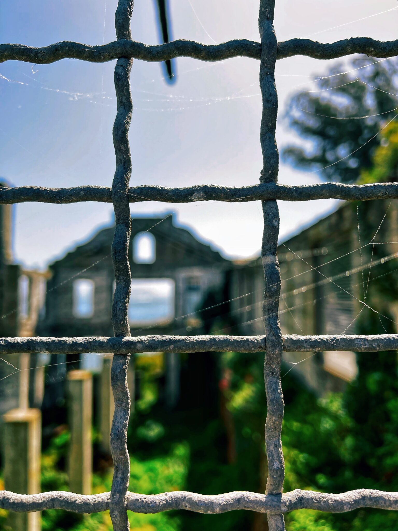 dooce® | gettin' clean's the easy part, and then comes life